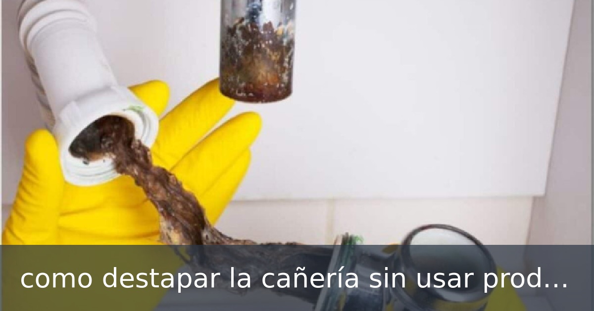 Deanna2u - como destapar la cañería sin usar productos quimicos